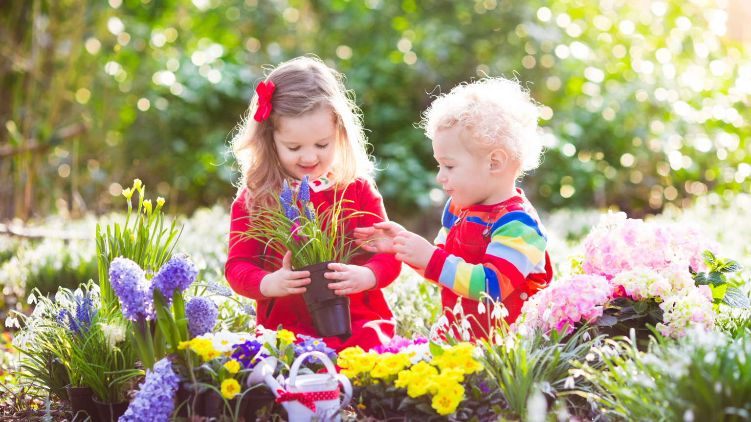 Willa Bean Co Where Fun And Learning Begin