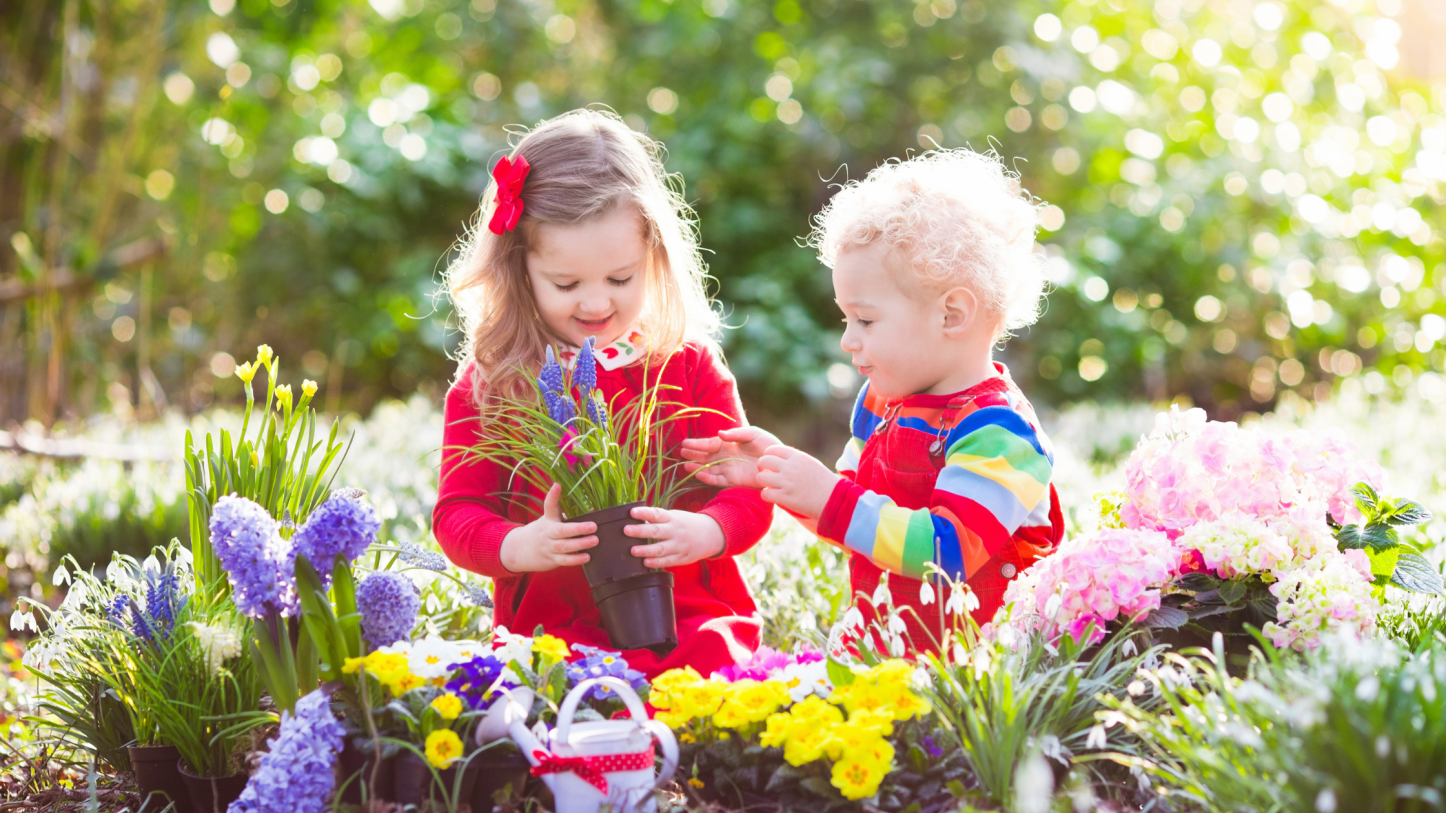 Willa Bean Co Where Fun And Learning Begin